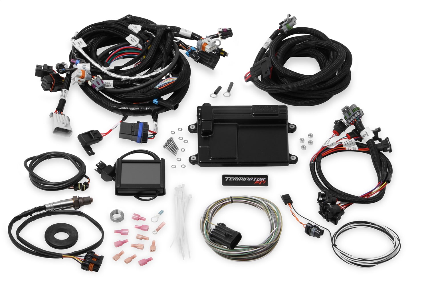 Holley EFI 550-608 Fuel Injection System - Walmart.com