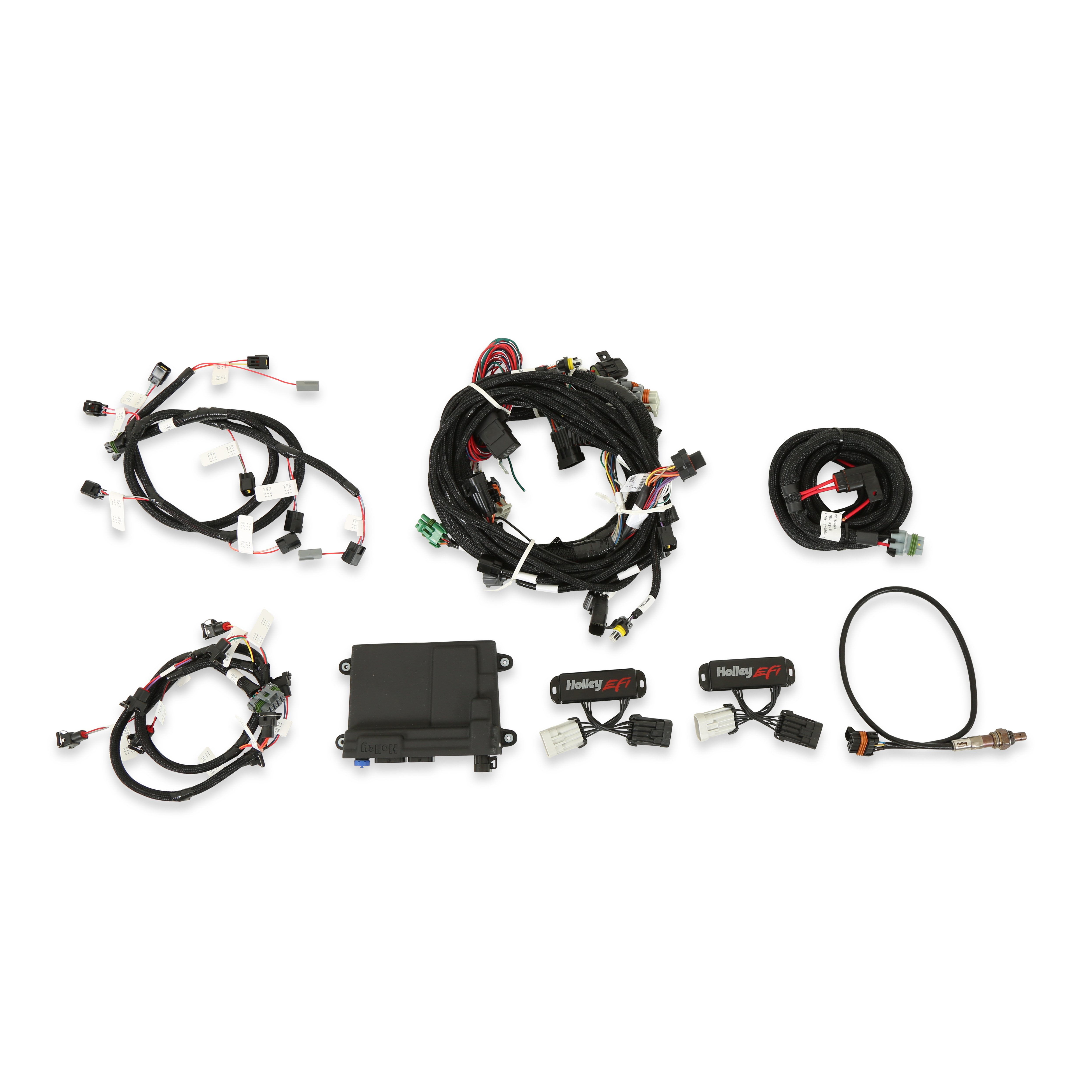 Holley EFI 550-616N HP EFI ECU & Harness Kits - Walmart.com