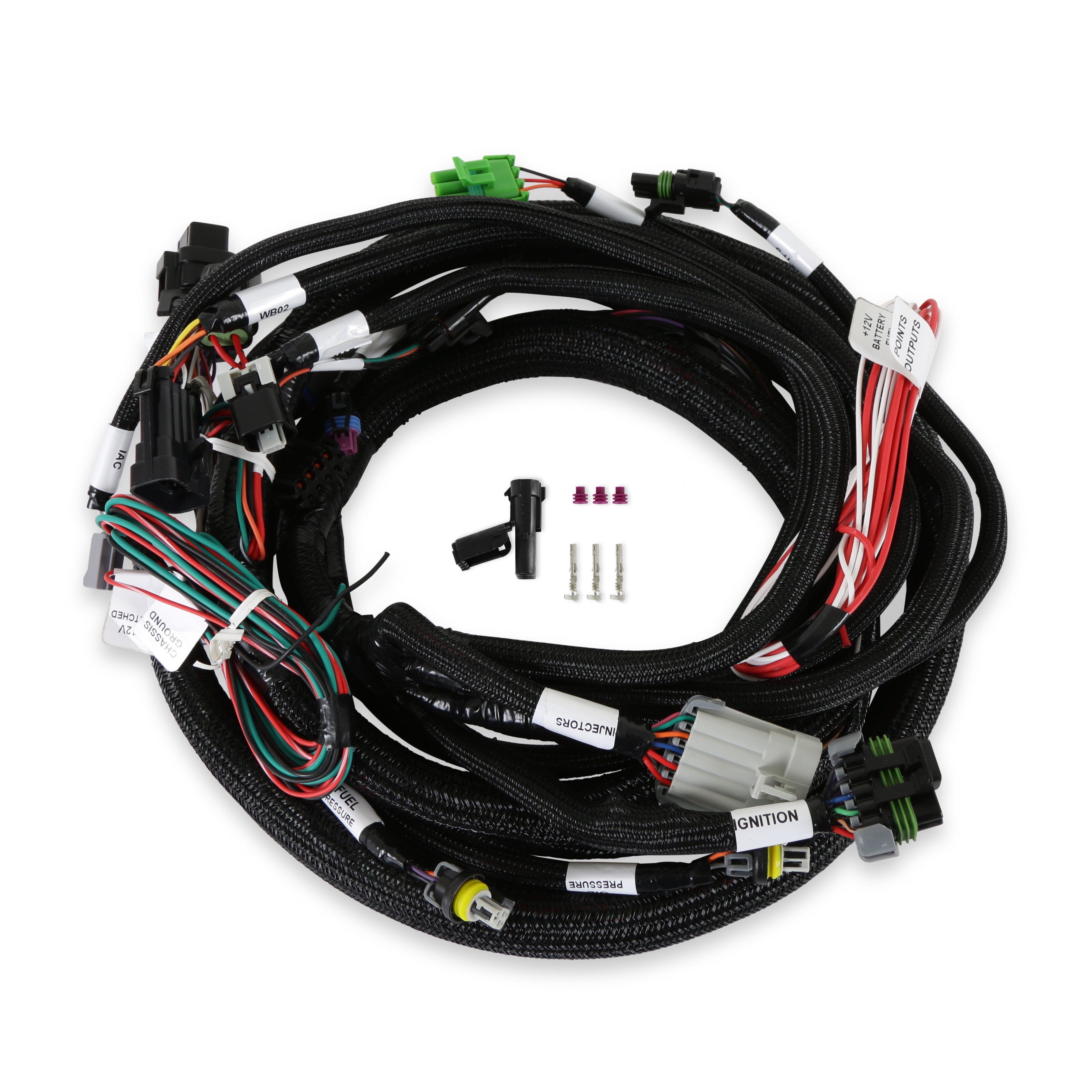 Holley EFI 558-128 Engine Main Harness - Walmart.com