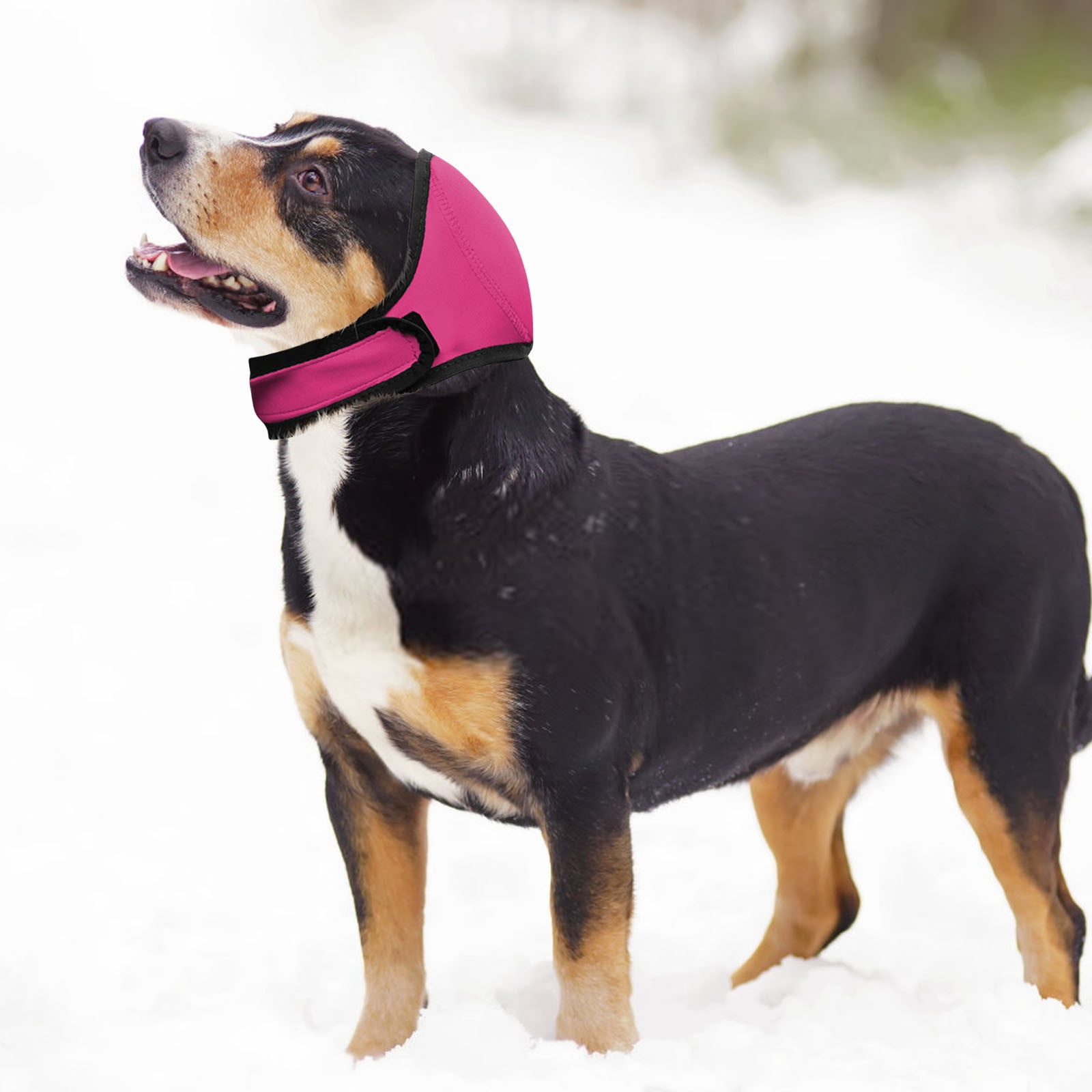 Holloyiver Dog Ear Covers for Bath,Swimming & Grooming,Swimming ...