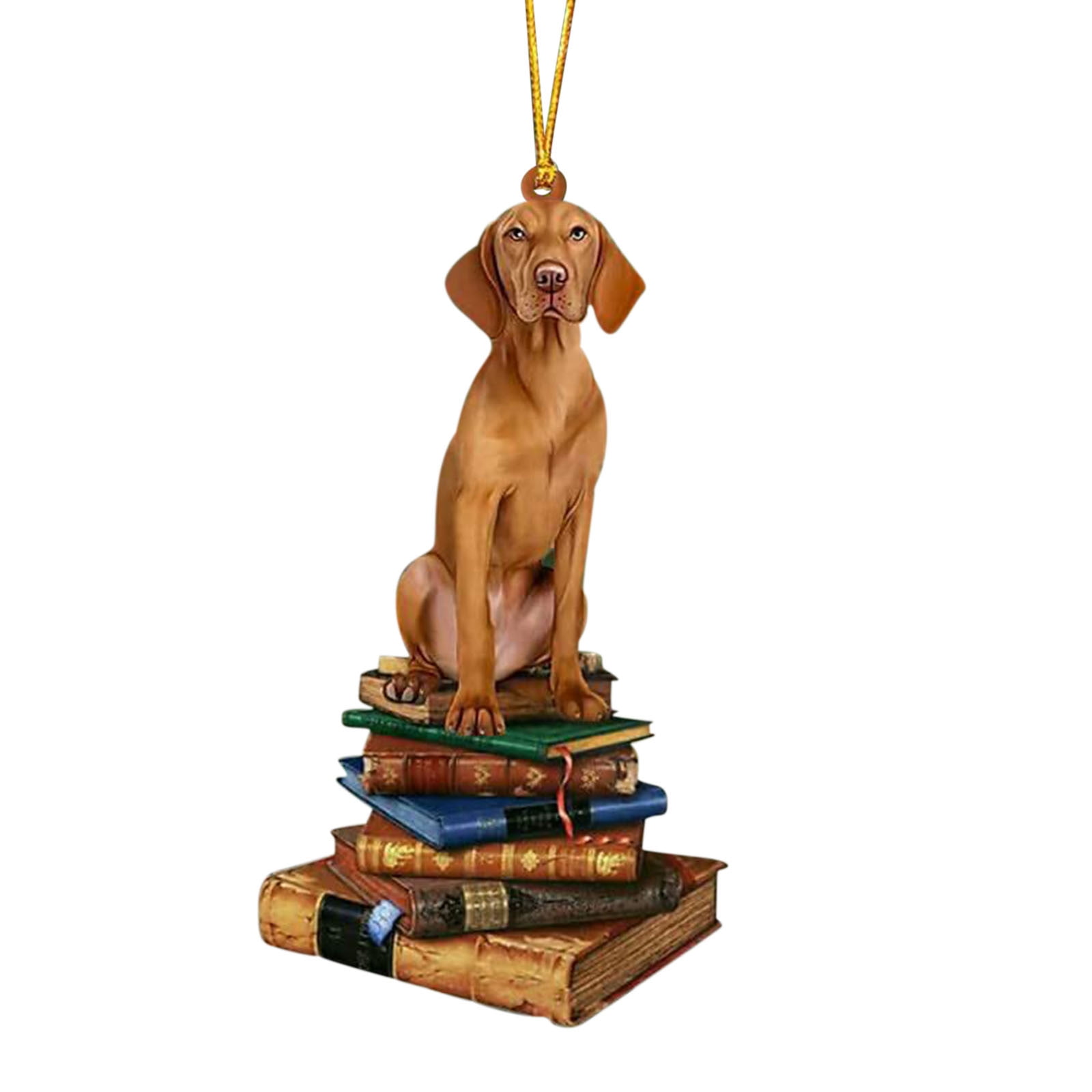 Holloyiver Personalized Dog Sit On The Book Wood Ornament, 3.1 Inch Dog ...
