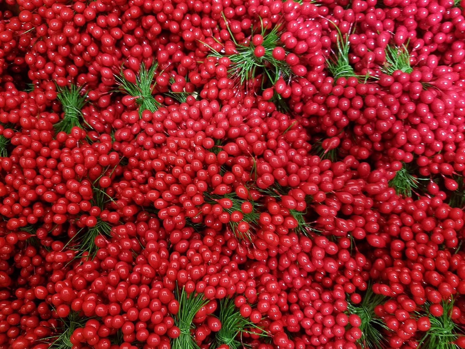 Holly Berries Double Ended Floral Stems Stamen Peps (Pack of 72 ...