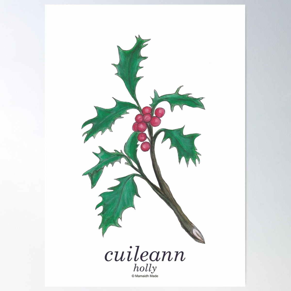 Holly / Cuileann (Scottish Gaelic Translation) Hand Painted Vintage ...