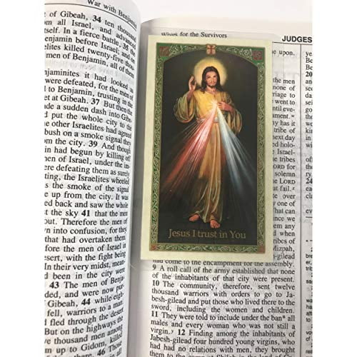 Holly Lines Five-Pack Divine Mercy Image Laminated Holy Cards with Full ...