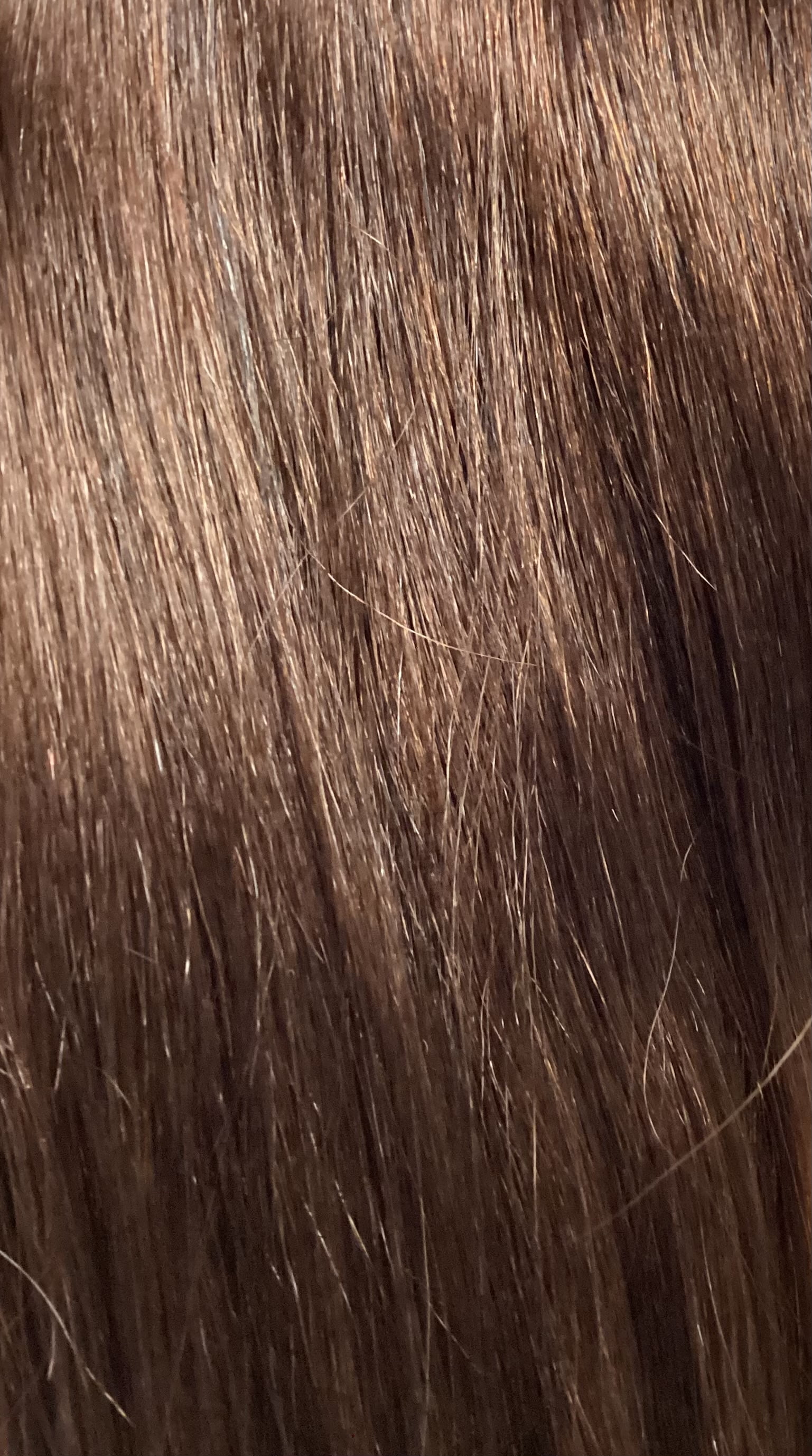 Hollywood Italian Hi Yaky Perm 100% Human Hair 18” inch -Color #33 ...