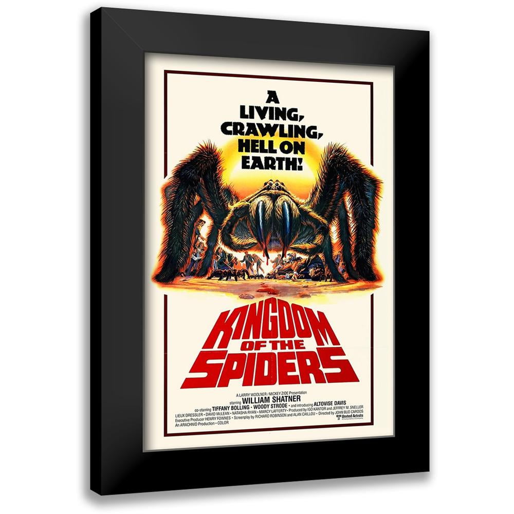 Hollywood Photo Archive 11x14 Black Modern Framed Museum Art Print ...