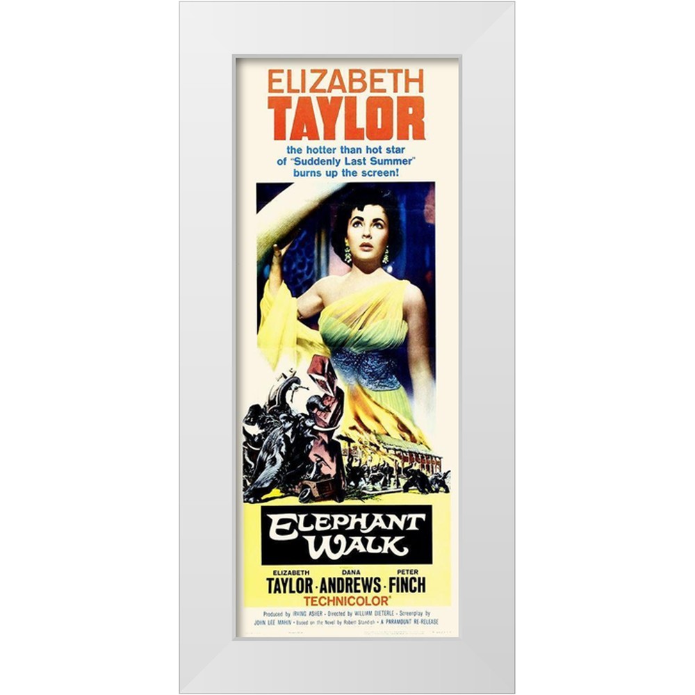 Hollywood Photo Archive 12x24 White Modern Wood Framed Museum Art Print ...