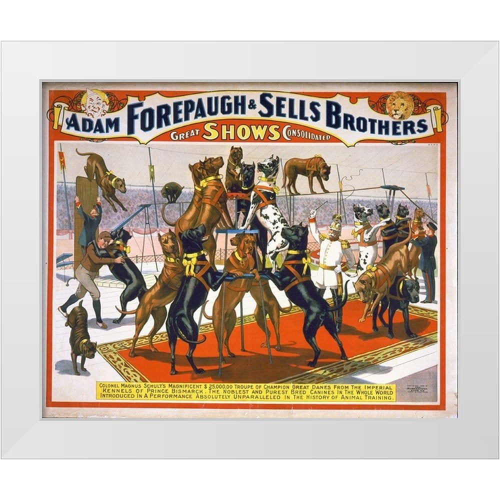 Hollywood Photo Archive 14x12 White Modern Wood Framed Museum Art Print ...