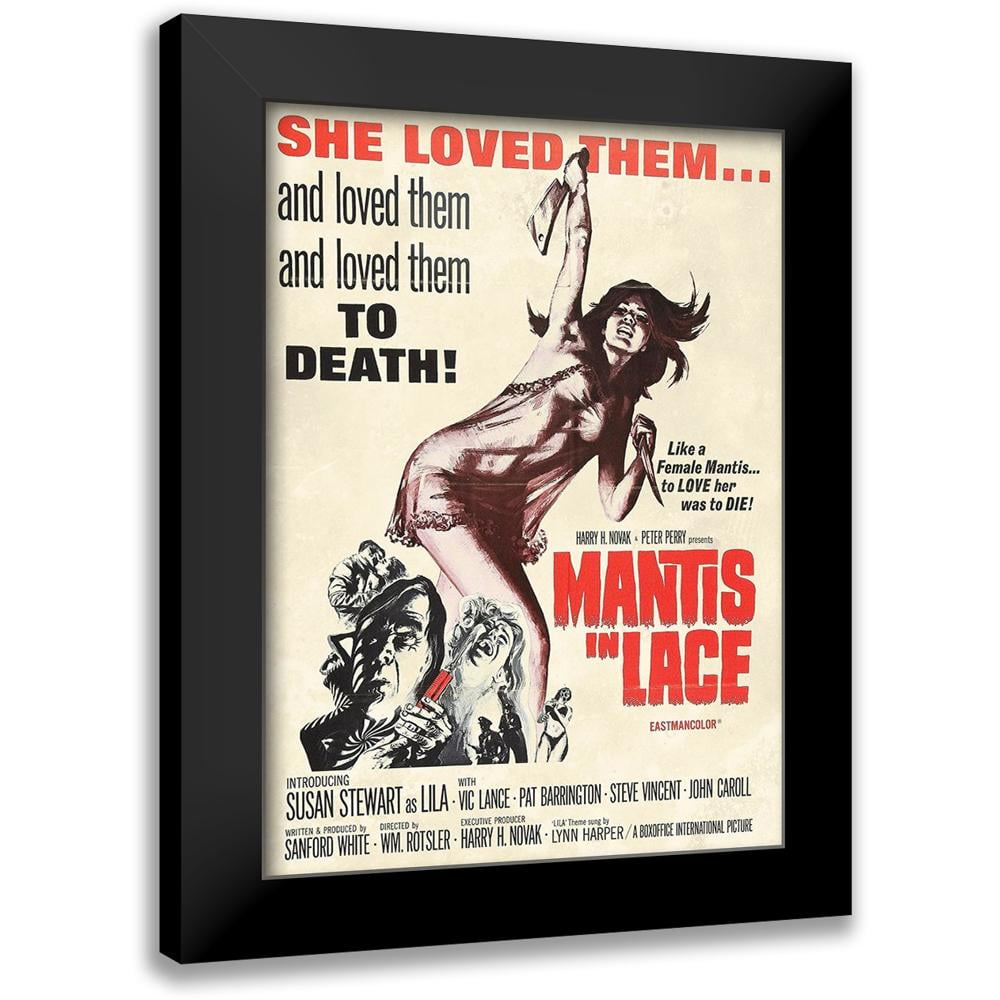 Hollywood Photo Archive 14x18 Black Modern Framed Museum Art Print ...