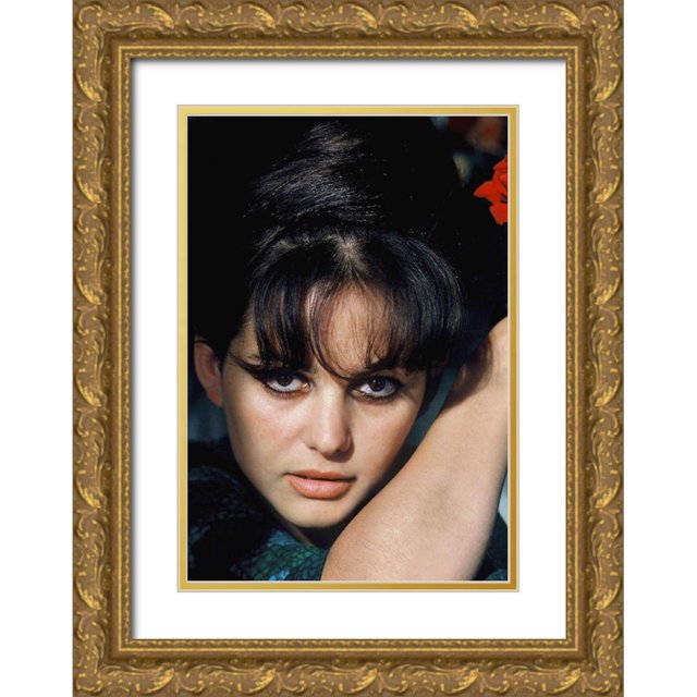 Hollywood Photo Archive 14x18 Gold Ornate Wood Framed with Double ...