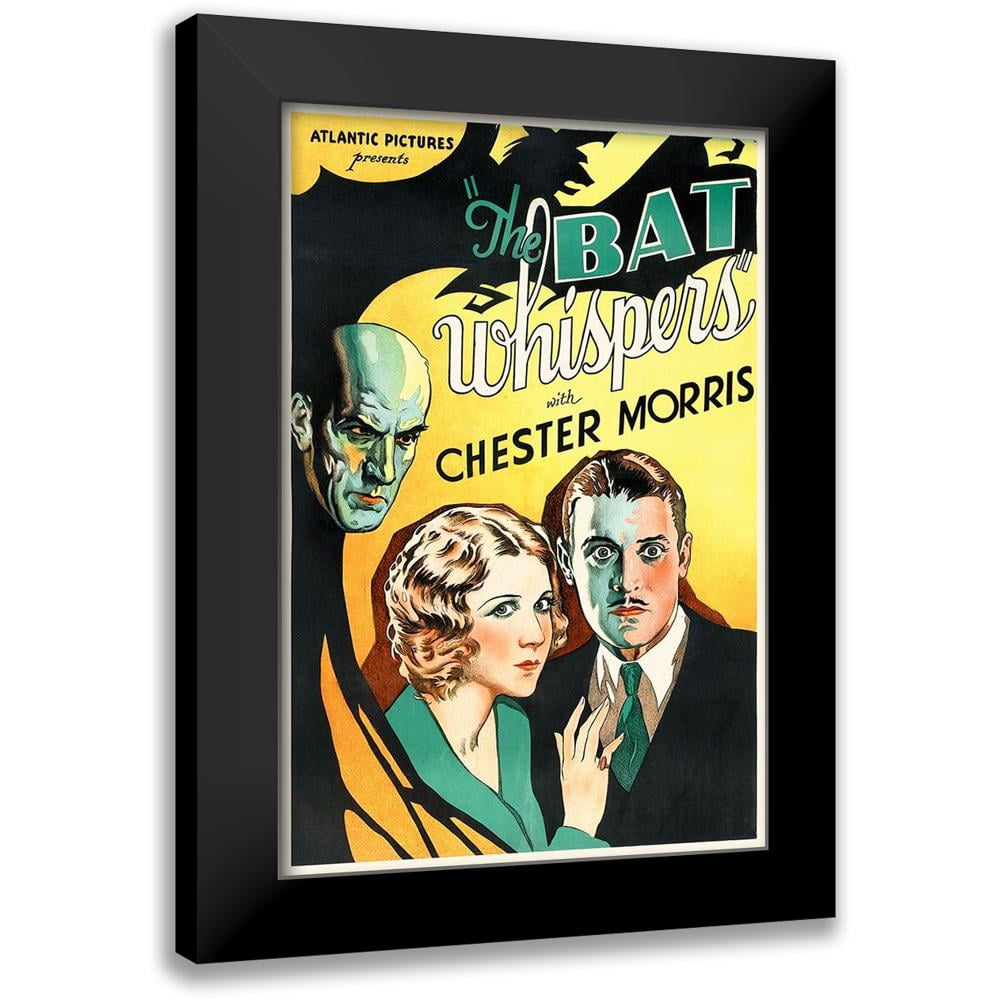 Hollywood Photo Archive 17x24 Black Modern Framed Museum Art Print ...