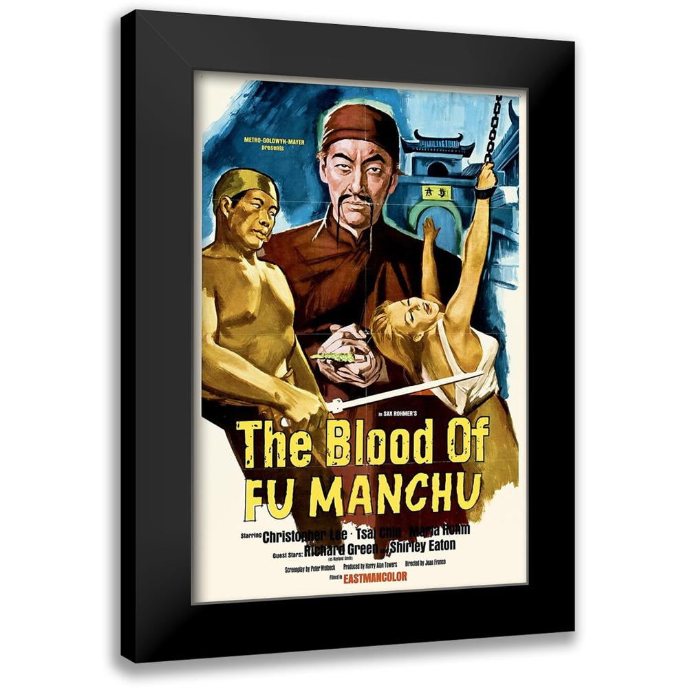 Hollywood Photo Archive 17x24 Black Modern Framed Museum Art Print ...