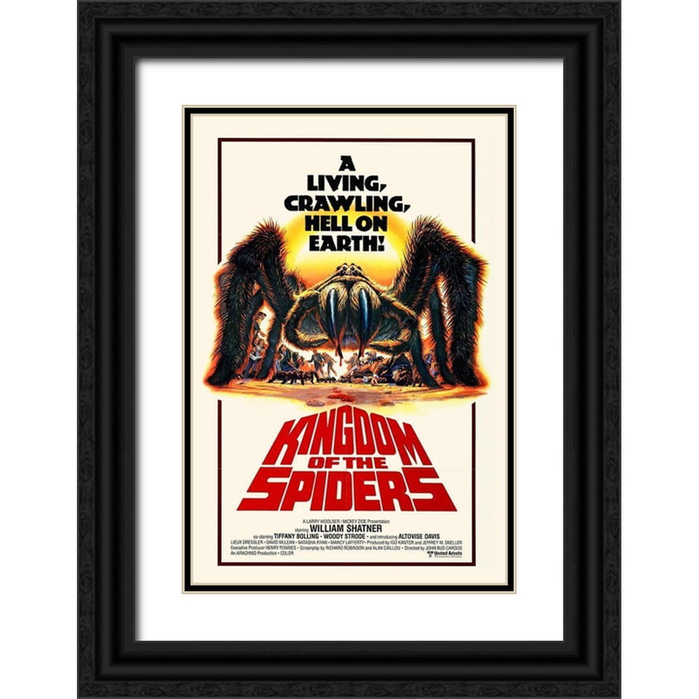 Hollywood Photo Archive 17x24 Black Ornate Wood Framed with Double ...