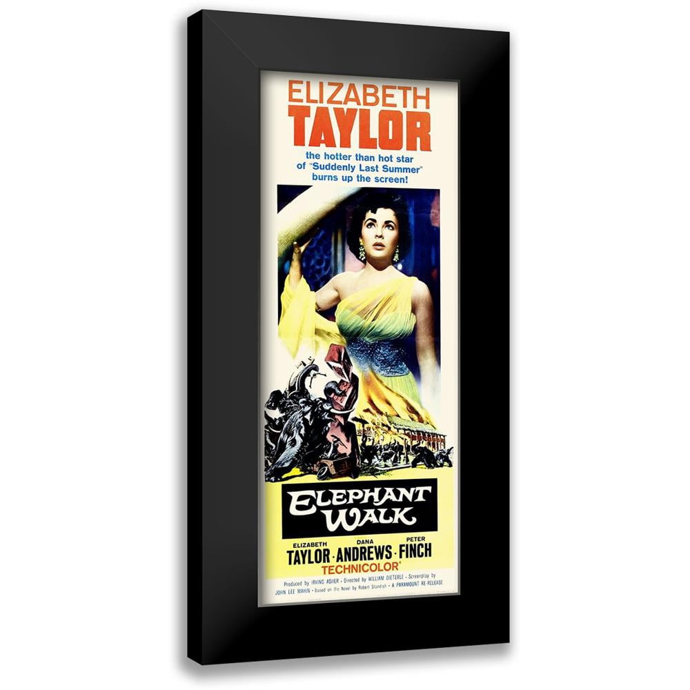 Hollywood Photo Archive 9x18 Black Modern Framed Museum Art Print ...