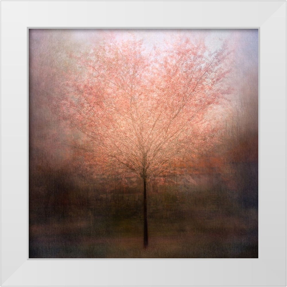 Holmstrom, Katarina 20x20 White Modern Wood Framed Museum Art Print ...