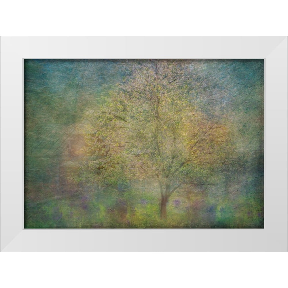 Holmstrom, Katarina 32x24 White Modern Wood Framed Museum Art Print ...
