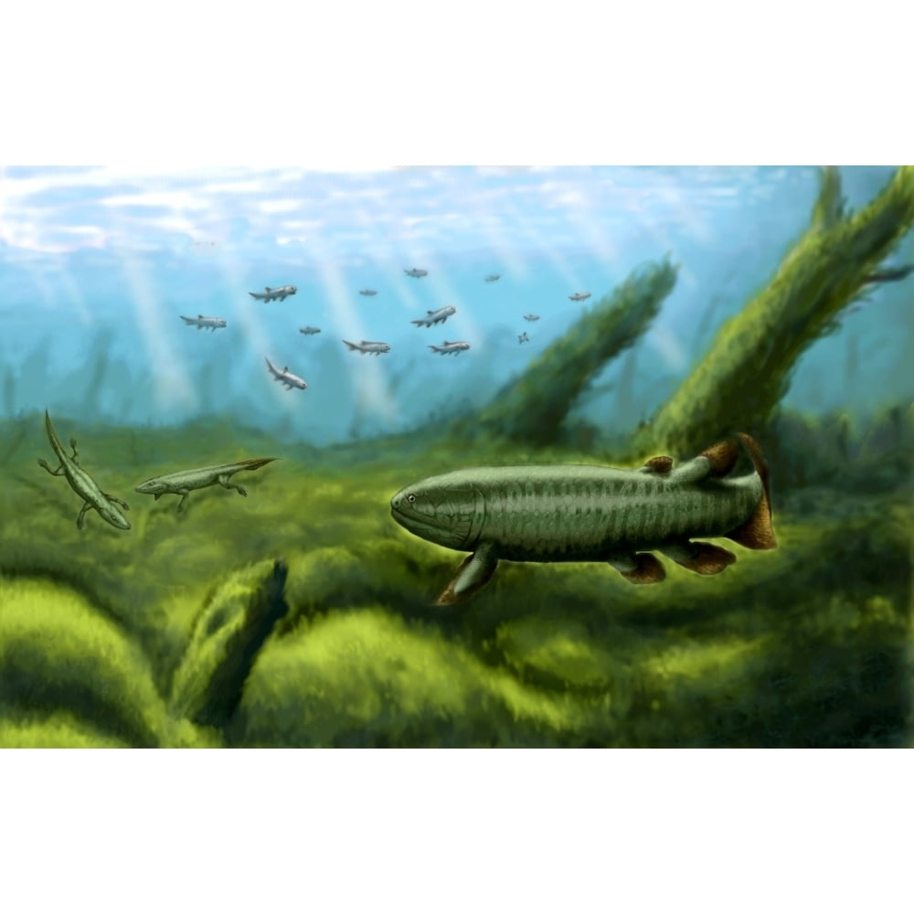 Holoptychius Tulerpeton and Moythomasia prehistoric fish of the ...
