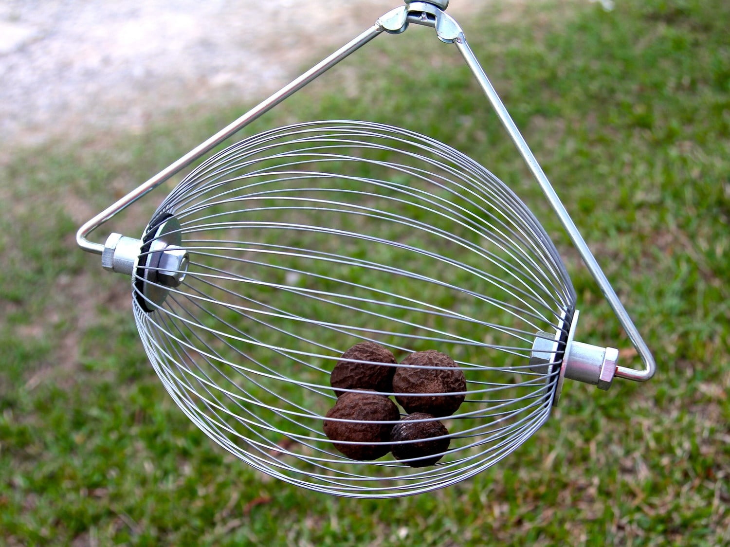 "Holt's 17"" Nut Wizard, Metal Nut and Fruit Collector Tool, Made in ...