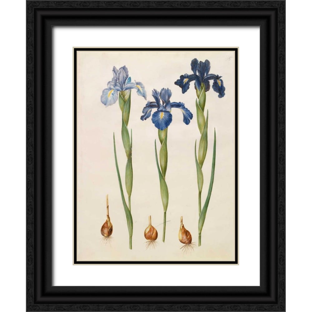 Holtzbecher, Johannes S. 19x24 Black Ornate Wood Framed with Double ...