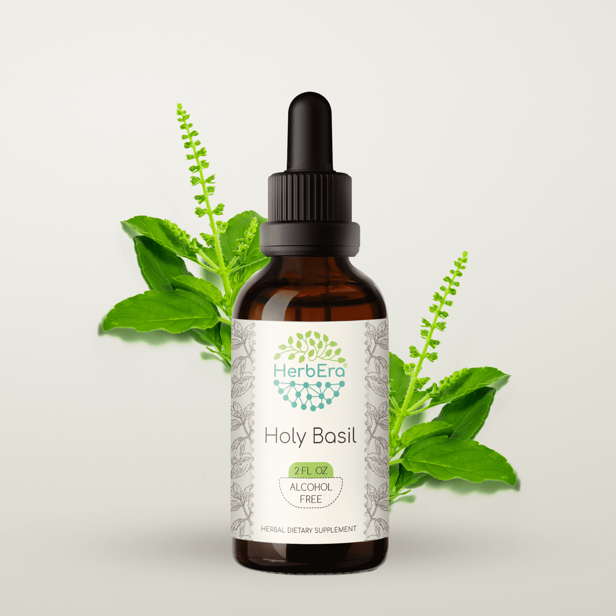 Holy Basil Alcohol-FREE Herbal Extract Tincture, Super-Concentrated ...