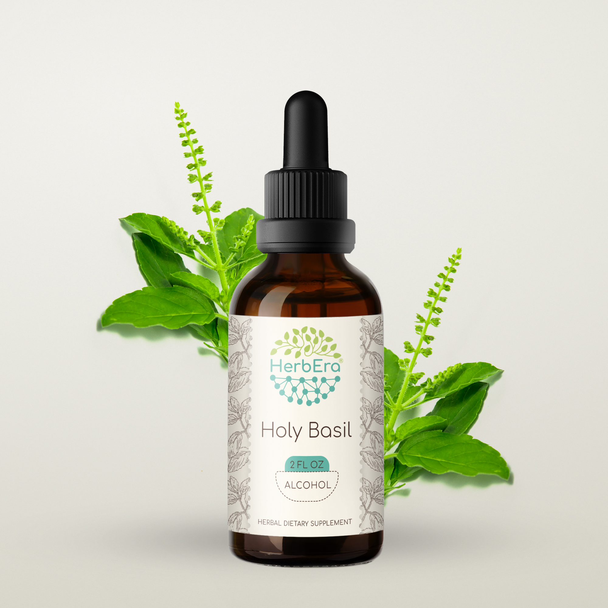 Holy Basil Alcohol Herbal Extract Tincture, Super-Concentrated Organic ...