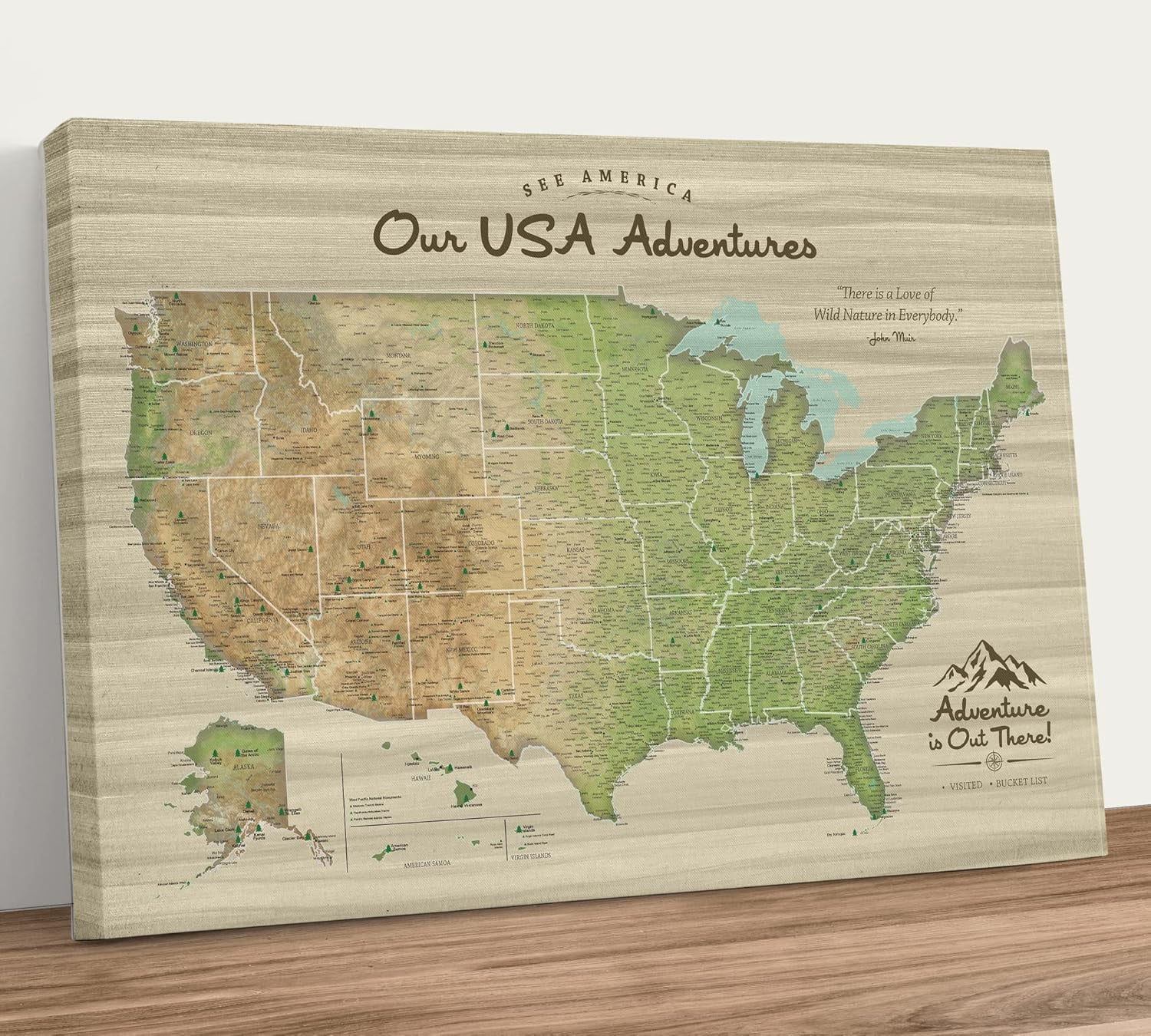 Holy Cow Canvas US Travel Map with Pins on Canvas, National Parks Map, Push Pin Map United ...