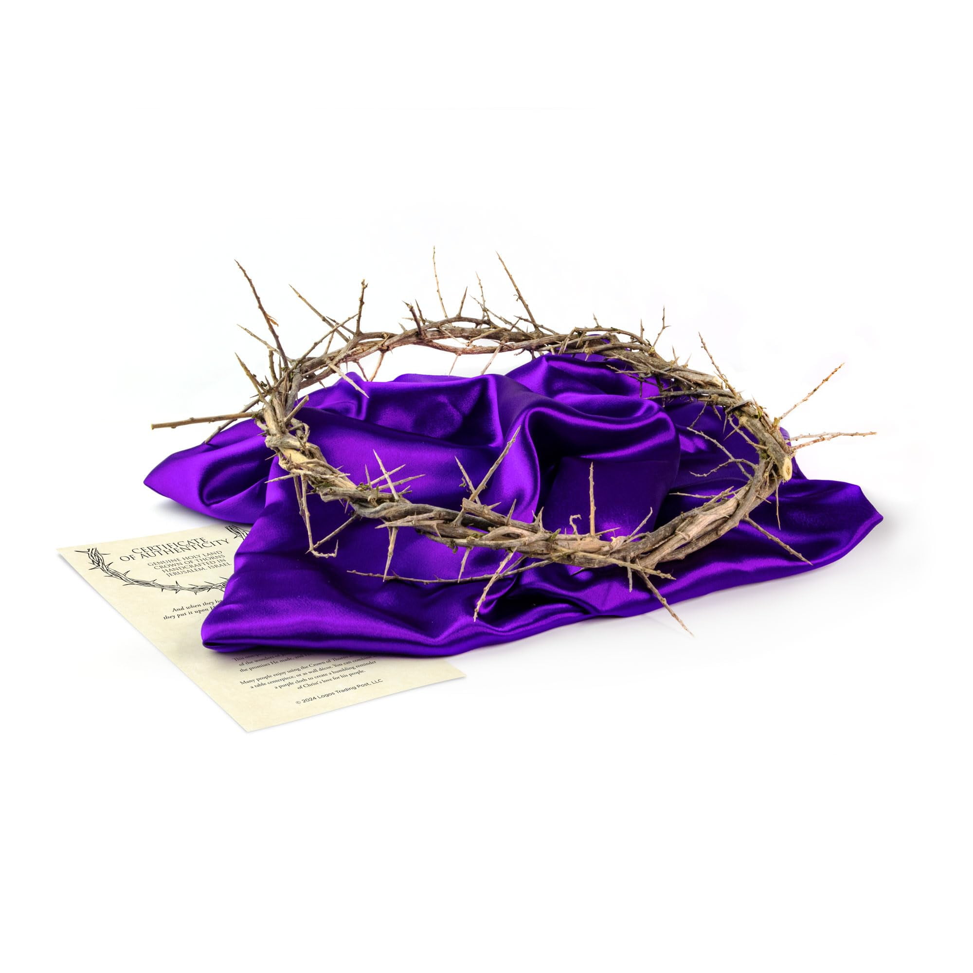 Holy Land Jerusalem Crown of Thorns 13 Inch, Authentic Jesus Headpiece ...