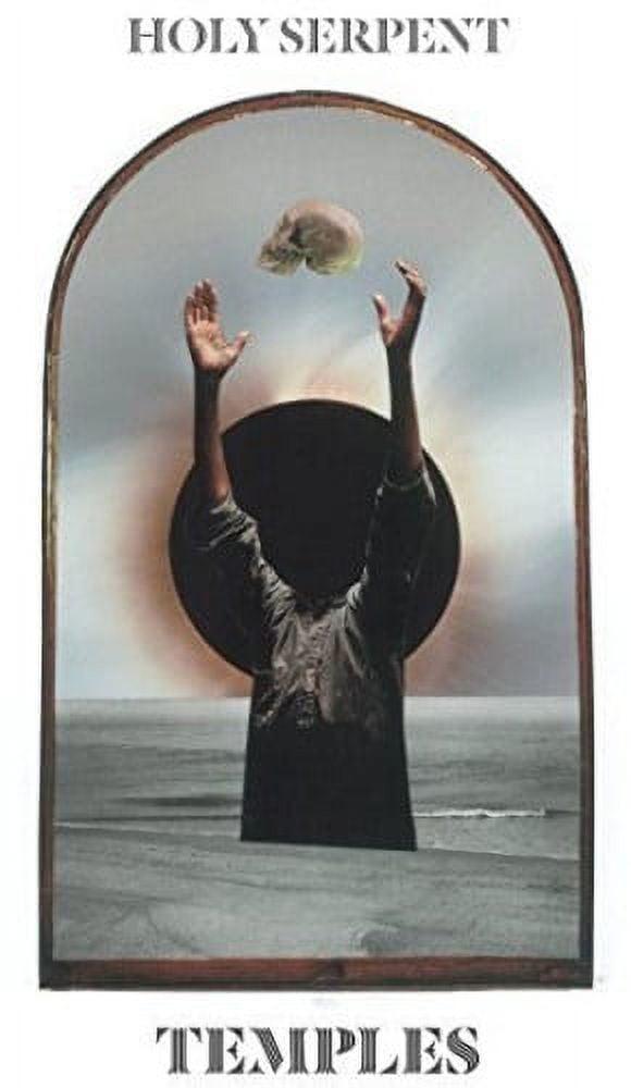 Holy Serpent - Temples - Music & Performance - Vinyl - Walmart.com