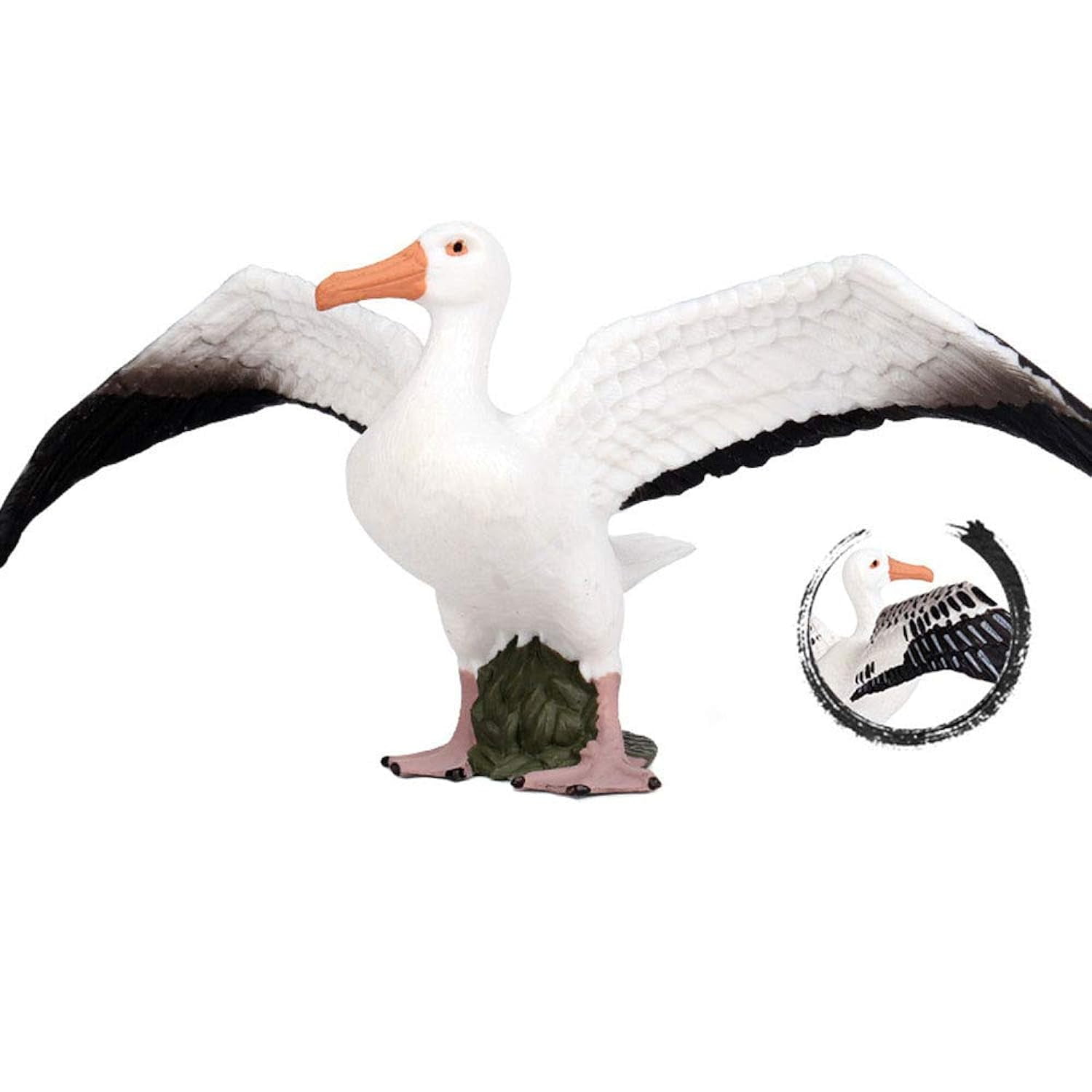 Holzlrgus Albatross Figure Realistic Animal Figurines Early Educational ...