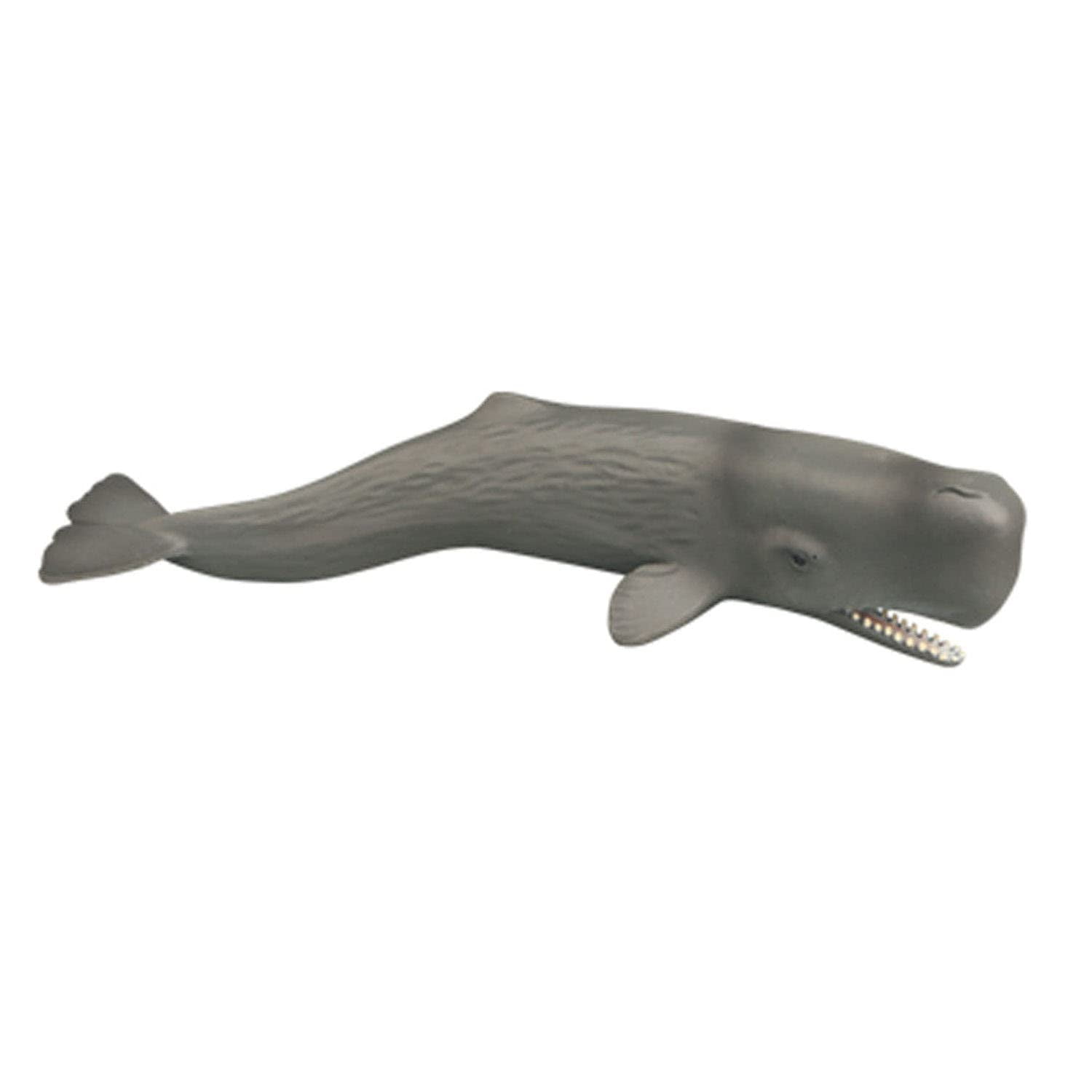 Holzlrgus Animal Figures Plastic Sperm Whale Sea Animals Action Model ...