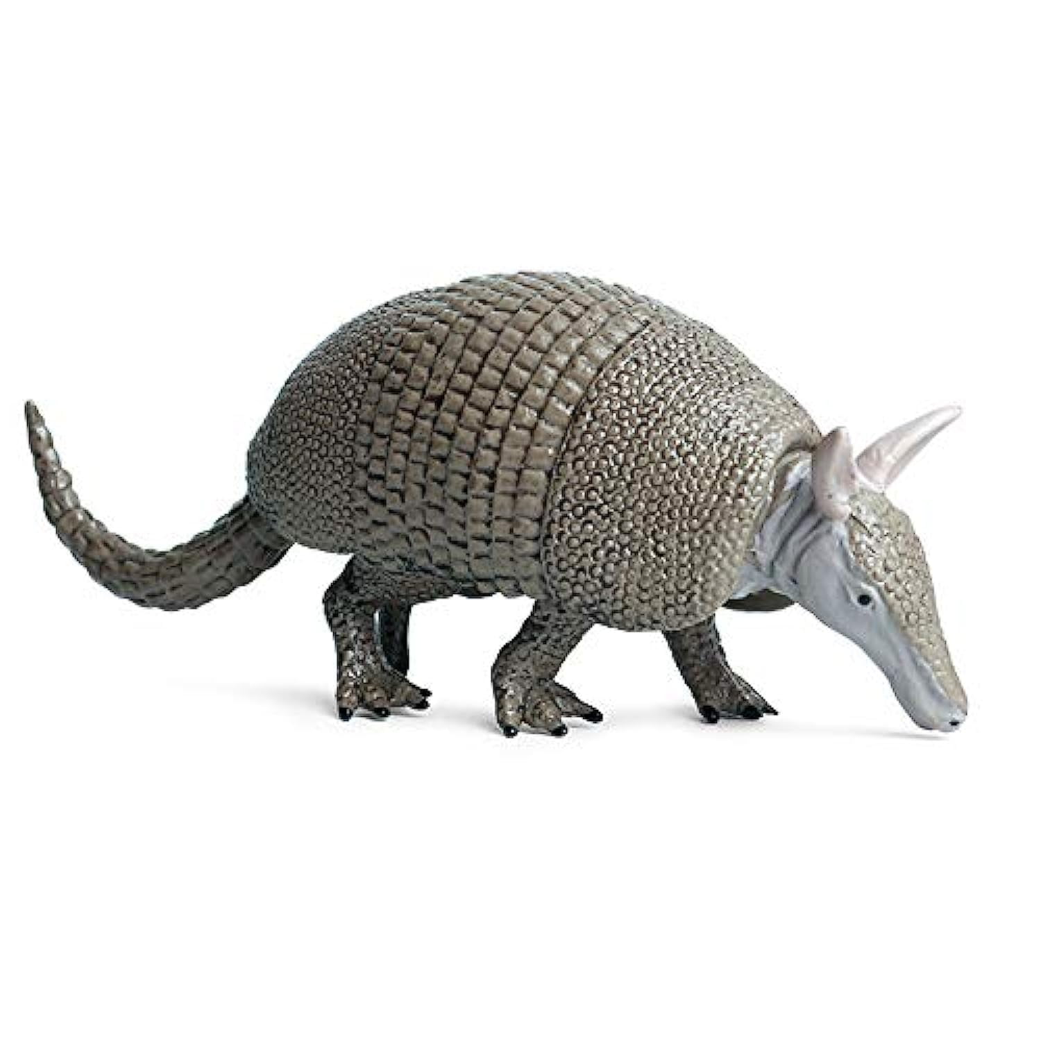 Holzlrgus Armadillo Figurine Realistic Plastic for Collection Science ...