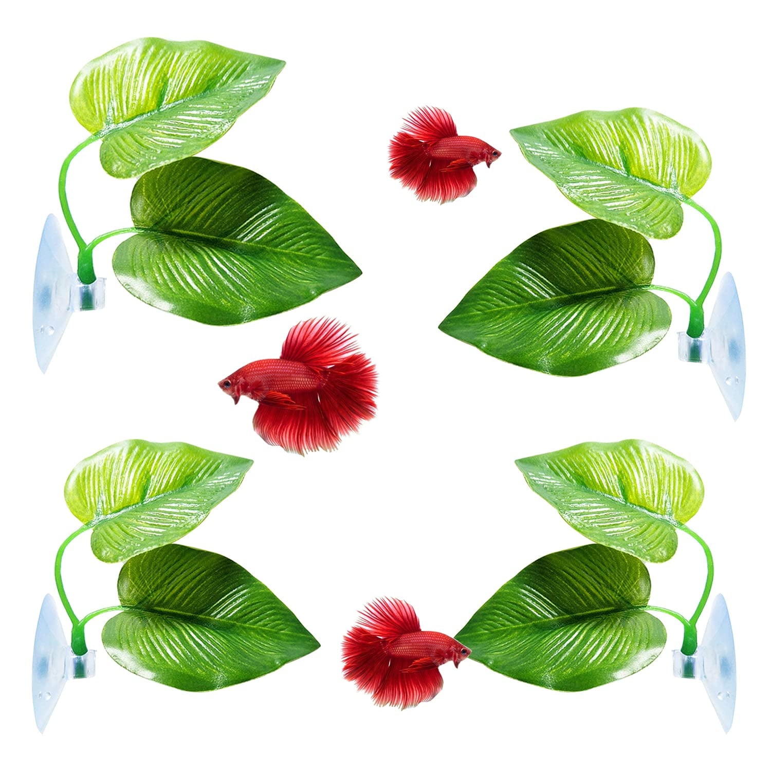 Holzlrgus Betta Fish Leaf Pad - Improves Betta's Health by Simulating ...