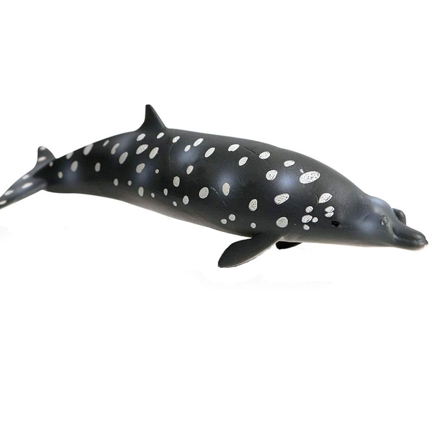 Holzlrgus Bruckner's Middle-beaked Whale Figure Realistic Animal ...