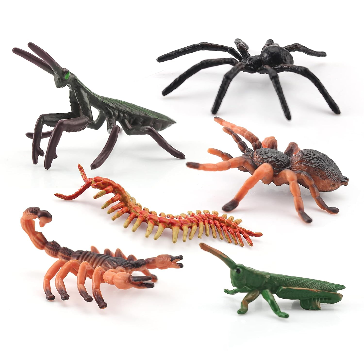 Holzlrgus Insects Figures Toys - Figurines Set with Spider Cricket ...