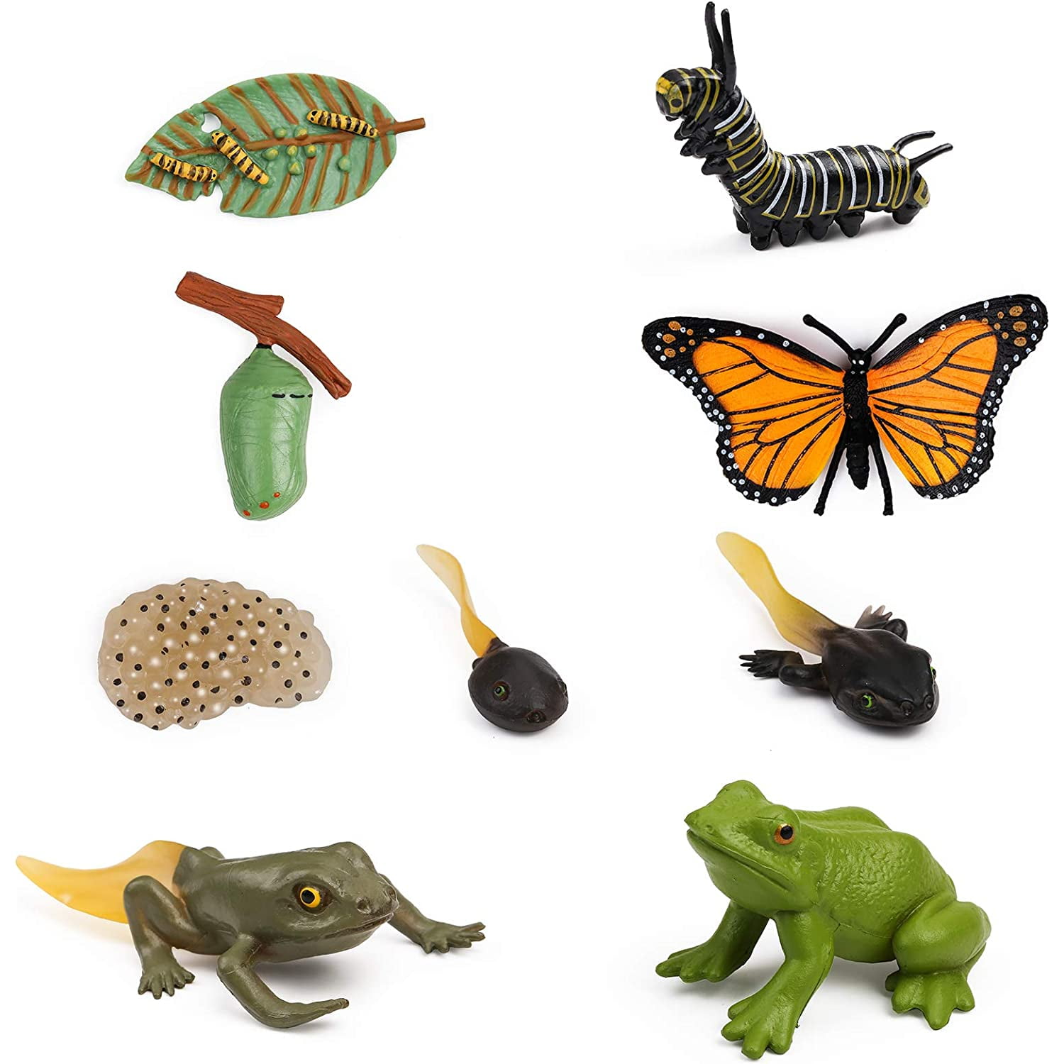 Holzlrgus Life Cycle Figurines of a Monarch Butterfly and a Frog ...