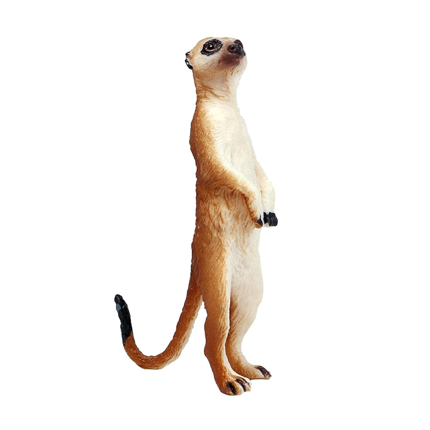 Holzlrgus Mongoose Animal Figures Realistic Plastic Standing Animal ...