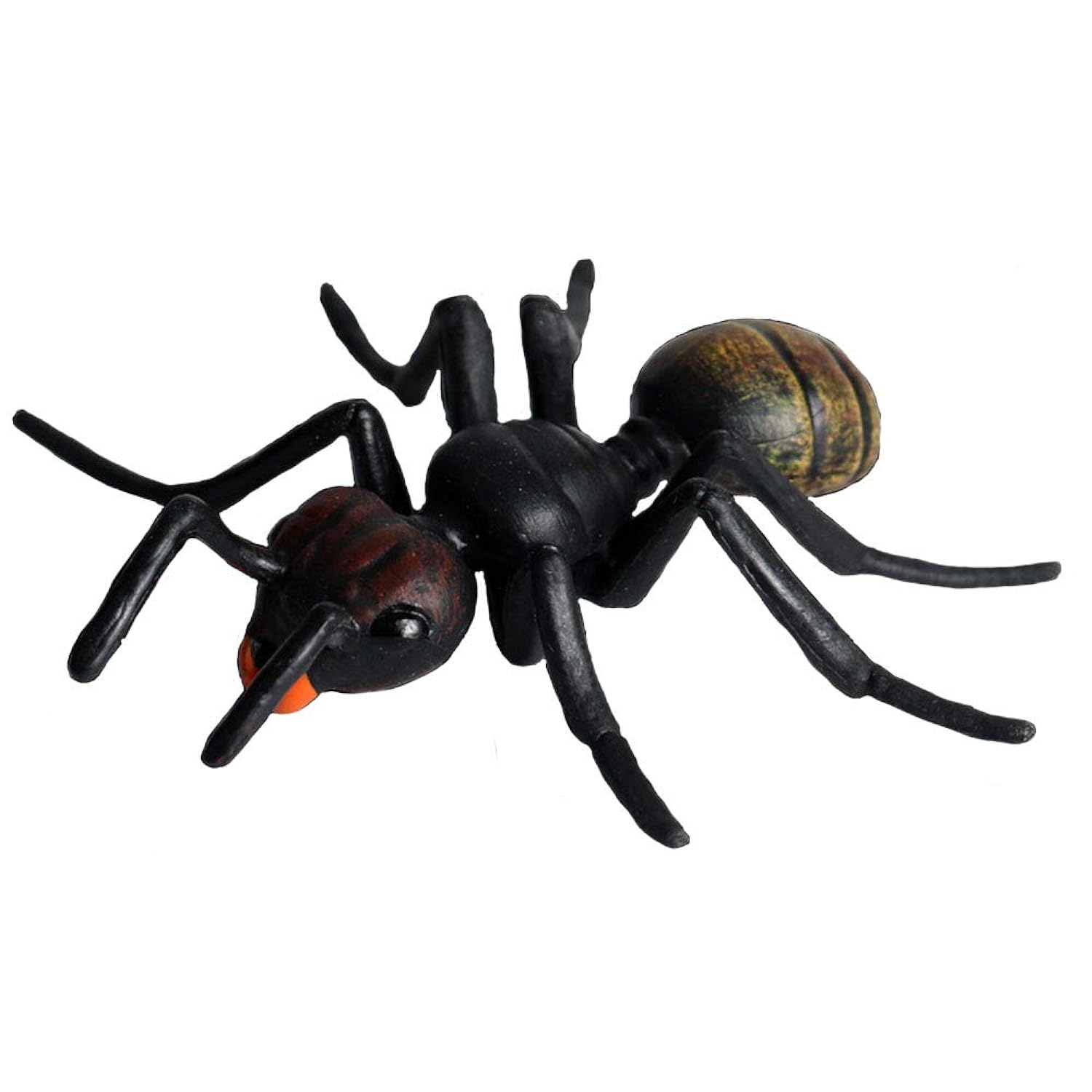 Holzlrgus Realistic Animal Figures Ant Figurines Insect Toy, Science ...