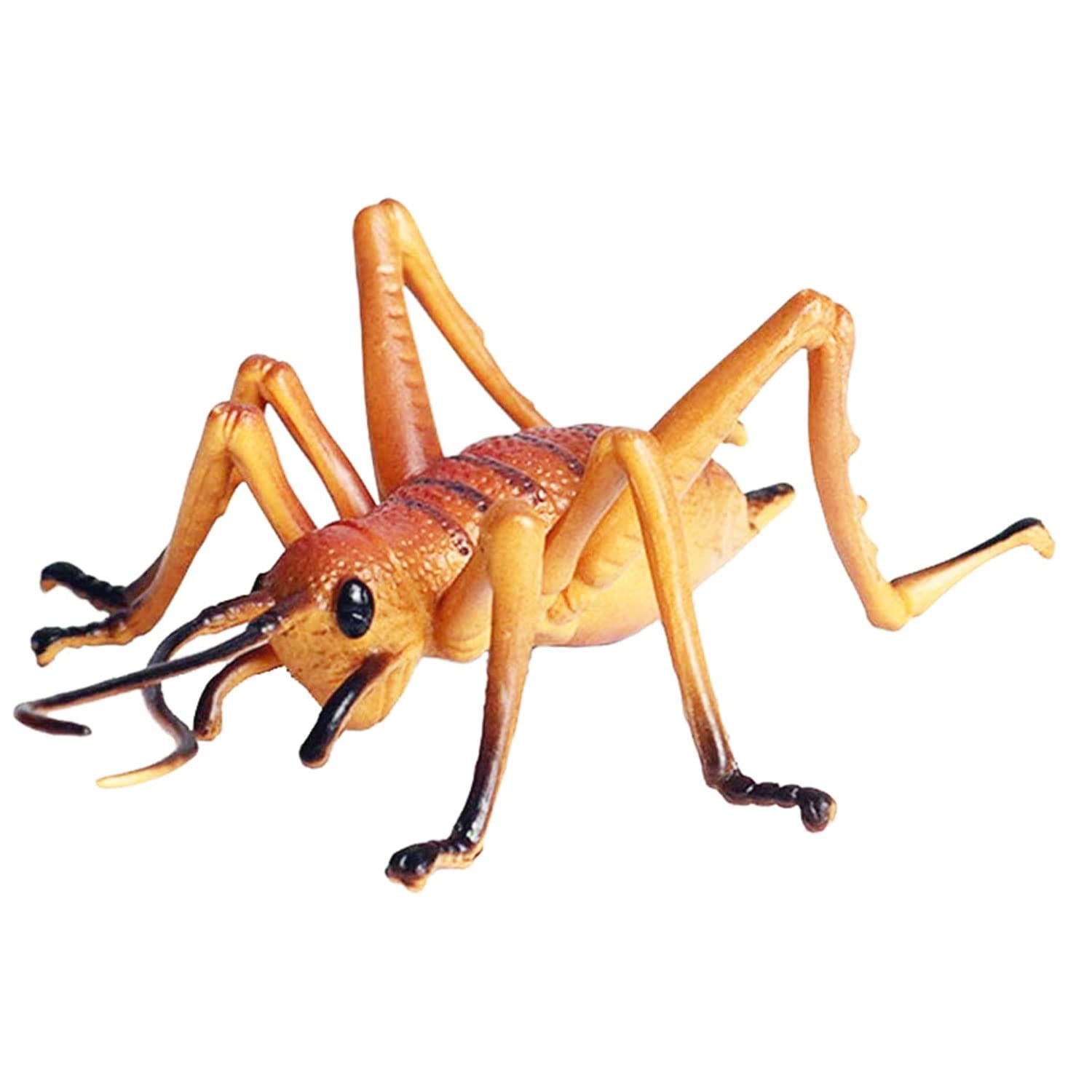 Holzlrgus Realistic Animal Figures Cricket Figurines Insect Toy ...