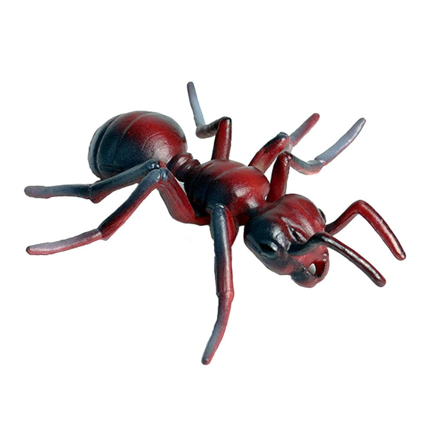 Holzlrgus Realistic Animal Figures Red Ant Figurines Insect Toy ...