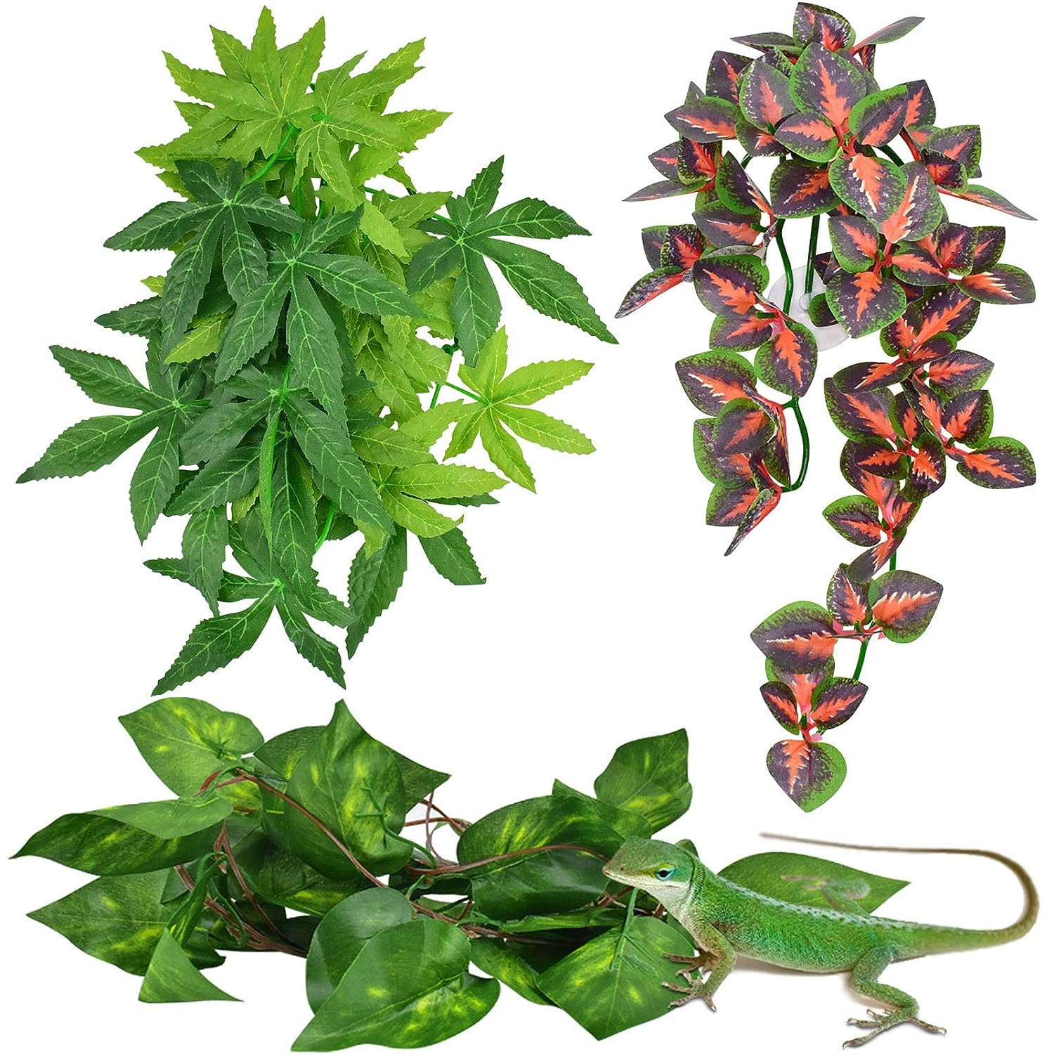 Holzlrgus Reptile Plants, Amphibian Hanging Plants with Suction Cup for ...