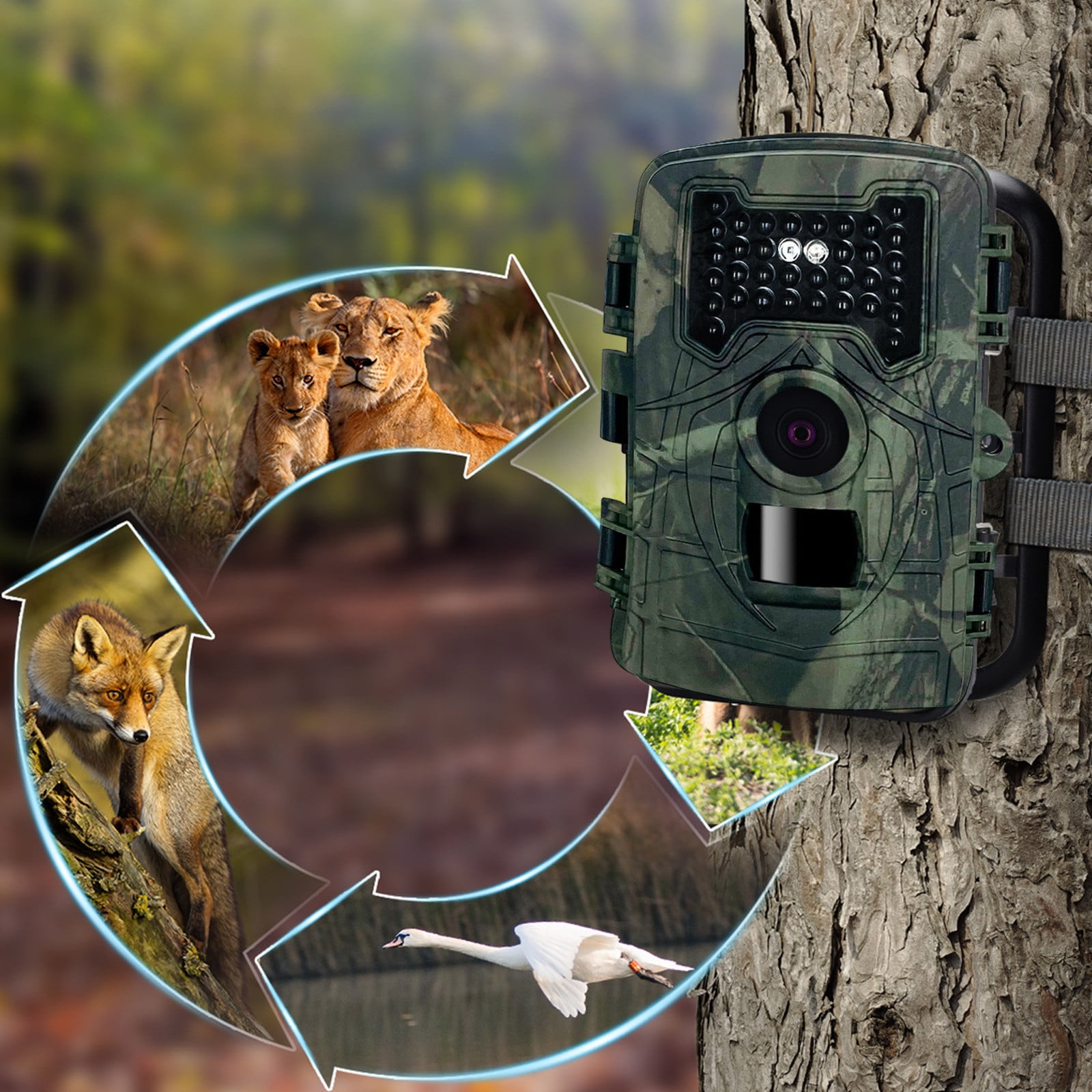 Home Appliances ZKCCNUK Outdoor Camera Tracking Action Camera Quick ...
