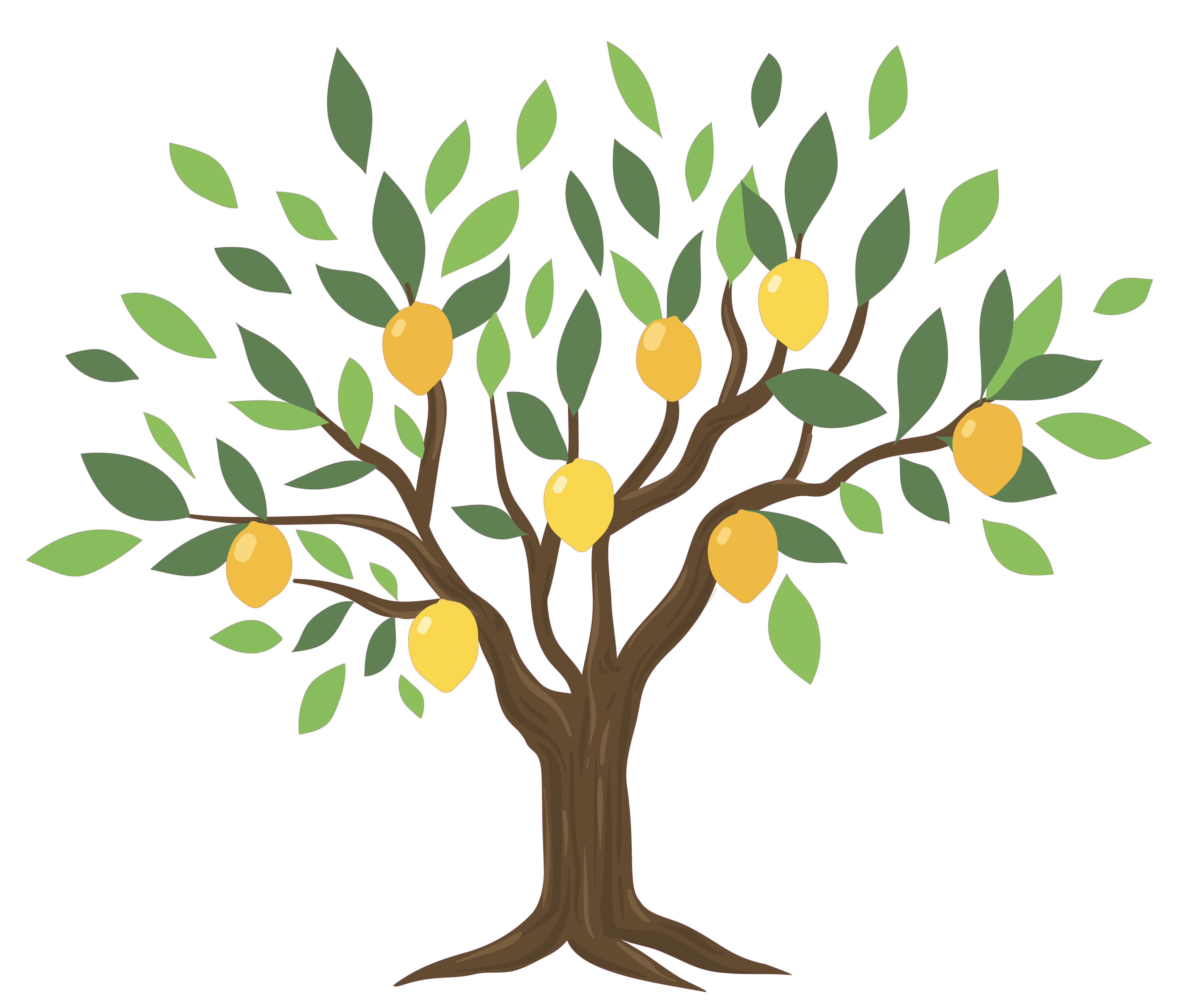 Home Art Lemon Tree Decoration Multicolored Art Design Kids Bedroom ...