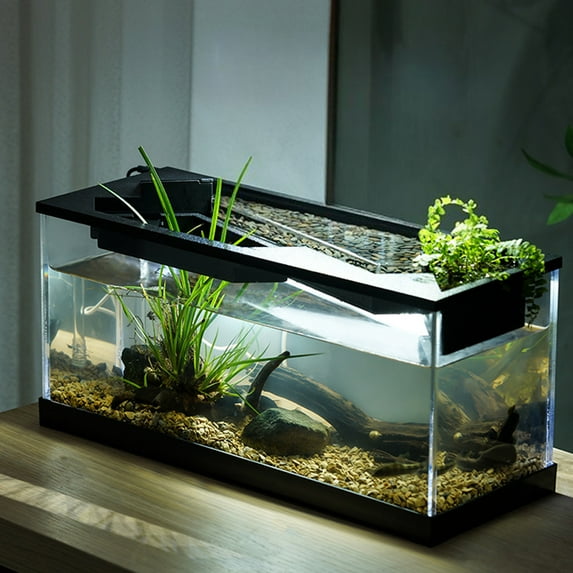 Home Betta Fish Tank Aquarium Fish Tank Kit With Transparent Cover LED ...