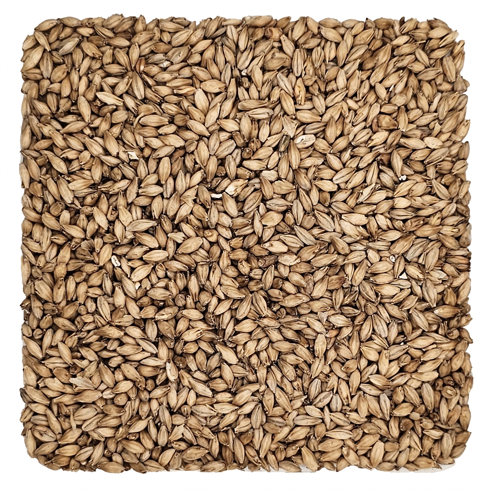 Home Brew Ohio 6-Row Grain 1lb - Walmart.com
