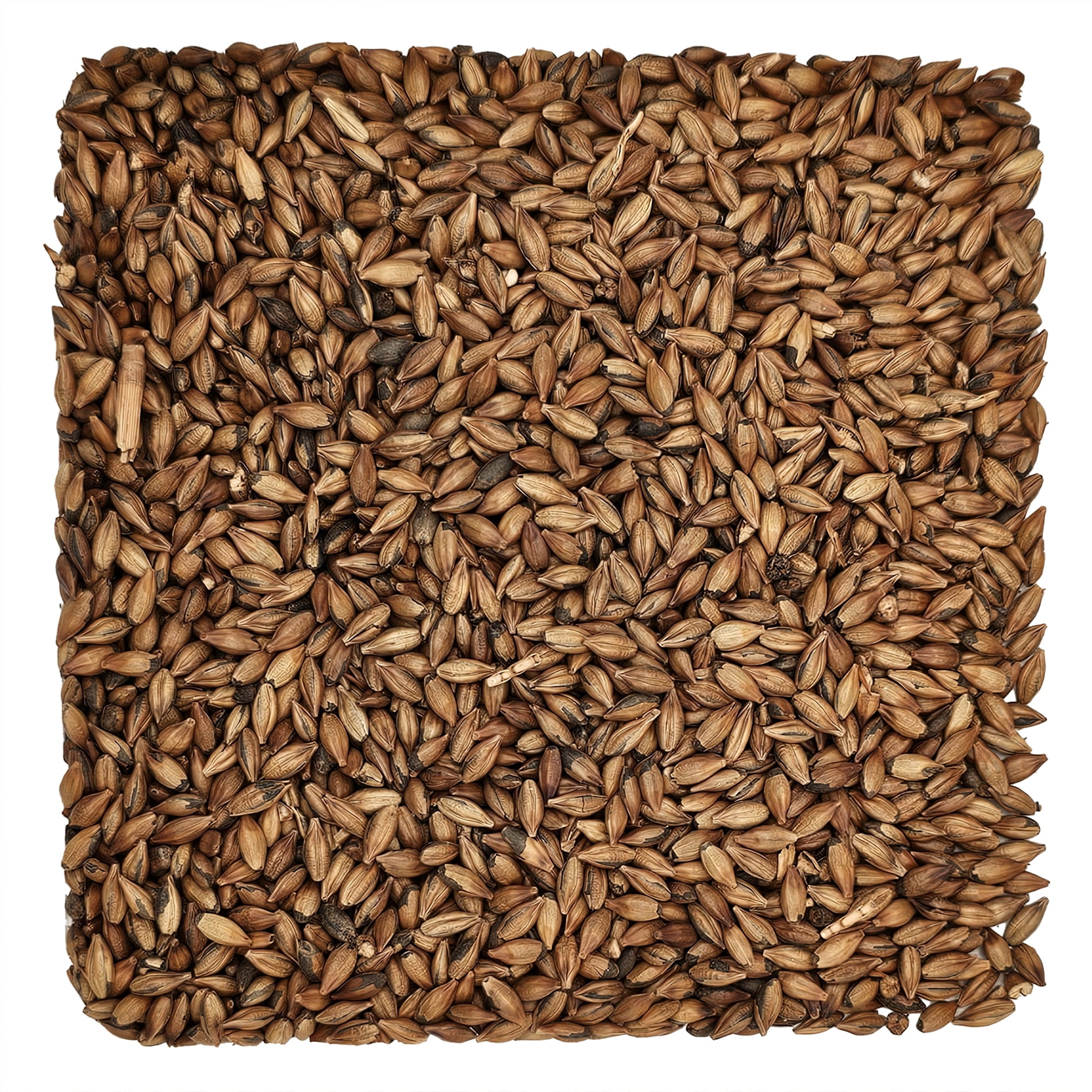 Homebrew Grains