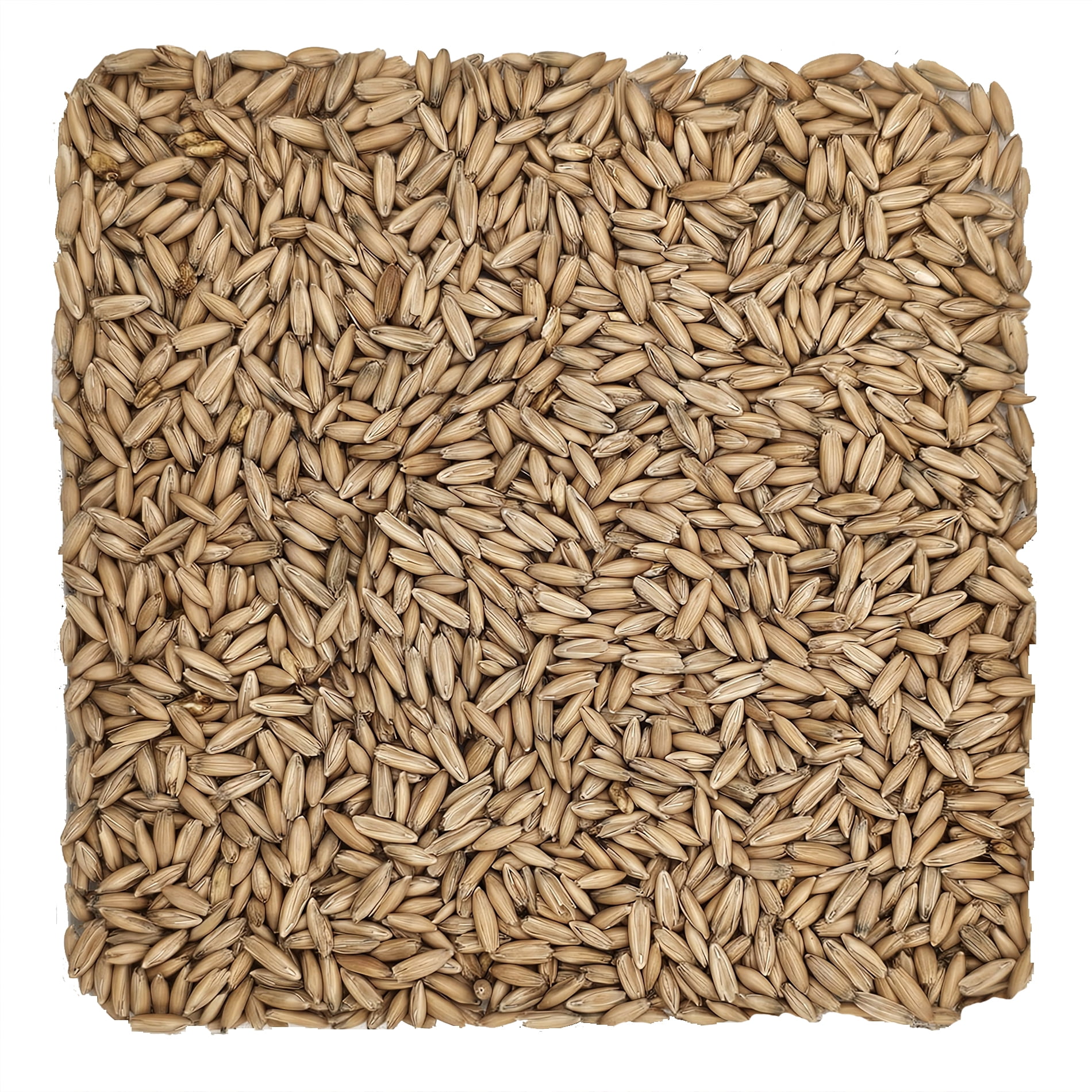 Home Brew Ohio Malted Oats Grain 10lb - Walmart.com