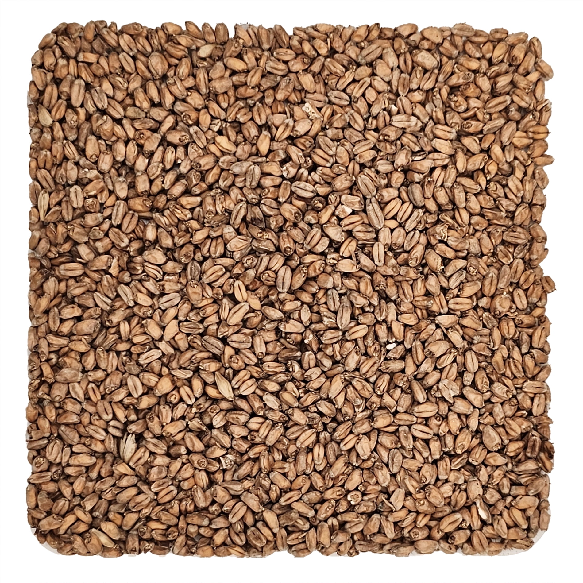 Home Brew Ohio Oak Smoked Wheat Grain 5lb - Walmart.com
