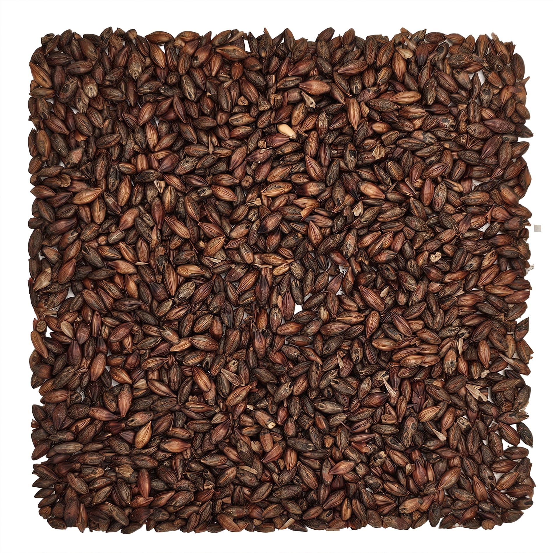 Home Brew Ohio Roasted Barley Grain 1lb - Walmart.com