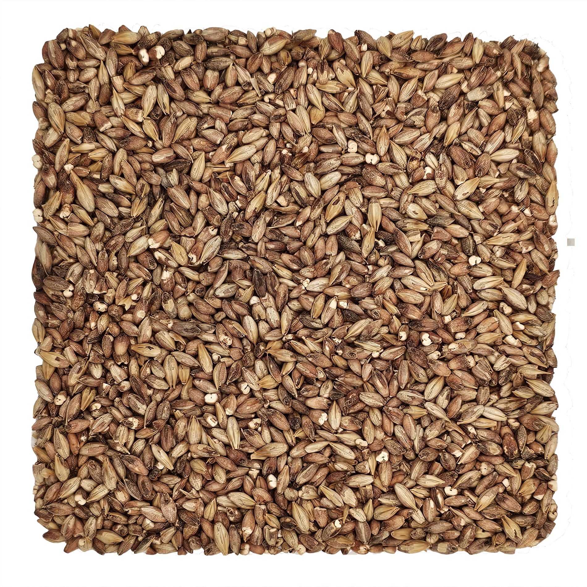 Home Brew Ohio Special Roast Grain 5lb - Walmart.com
