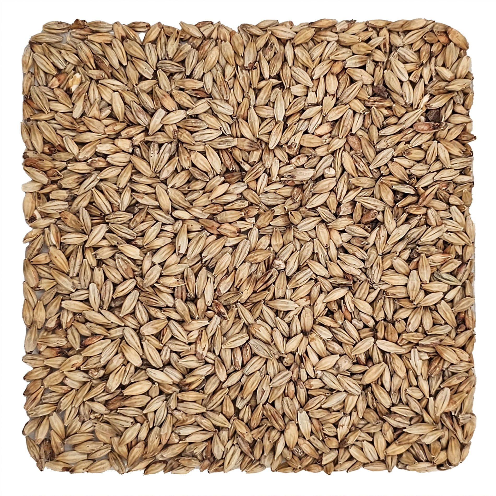 Home Brew Ohio Weyermann Abbey Grain 55lb - Walmart.com
